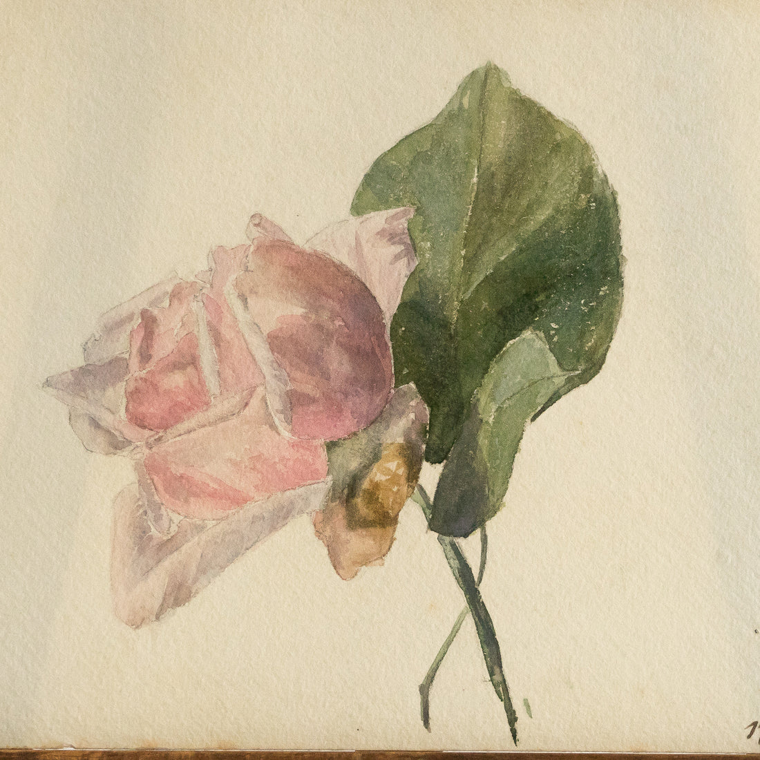 Small Watercolour Painting of a Single Pink Rose – Goose Home and Garden